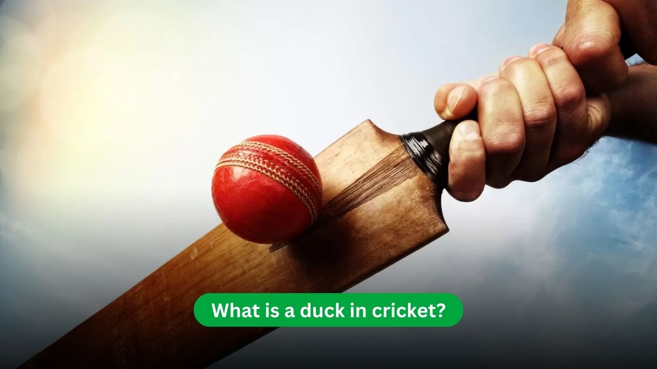 What Is A Duck In Cricket?